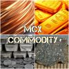 Commodity Home - Shubhlaxmi Commodity